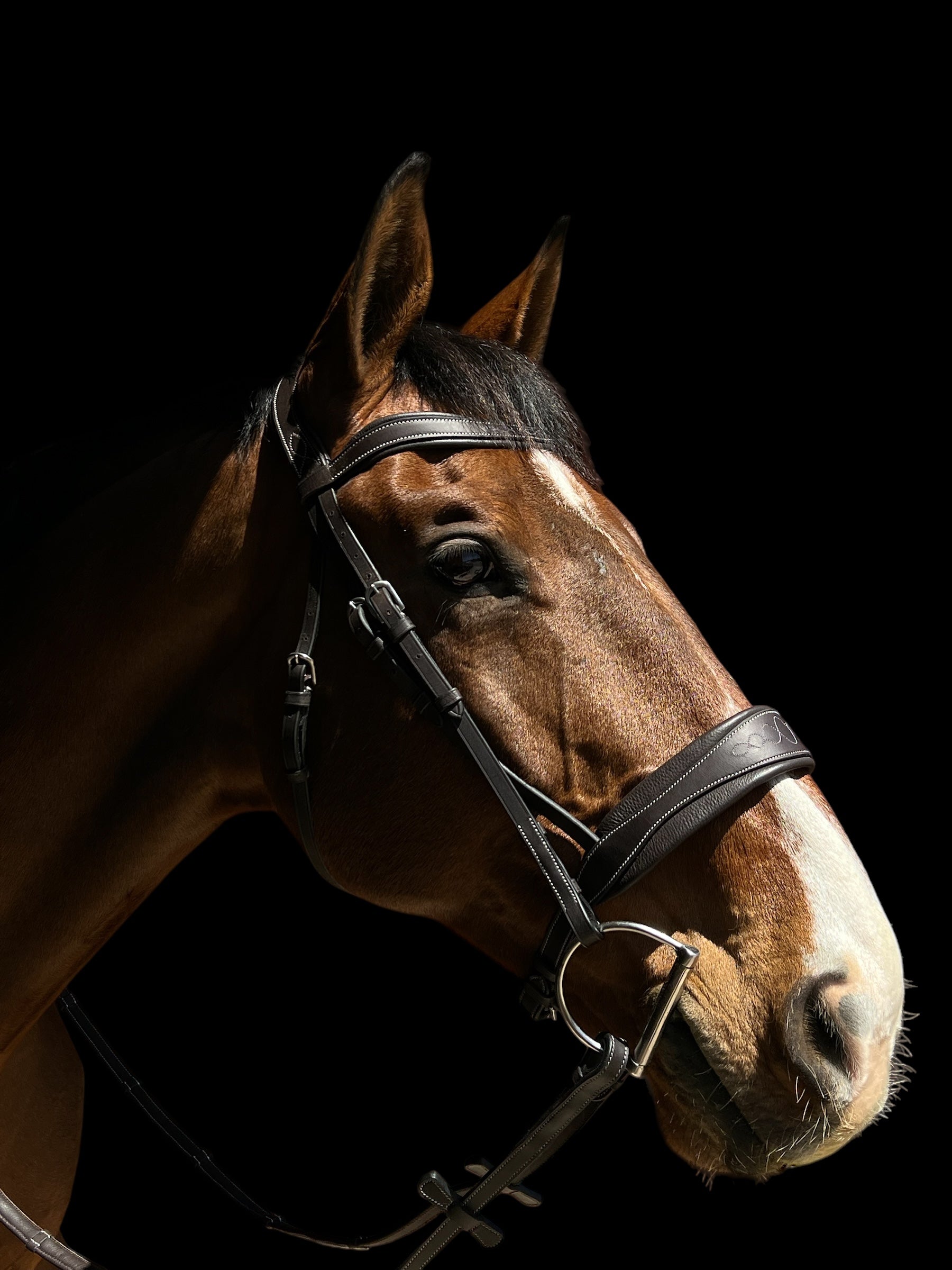 Artemis Jump Bridle | Harrington Bridle Co