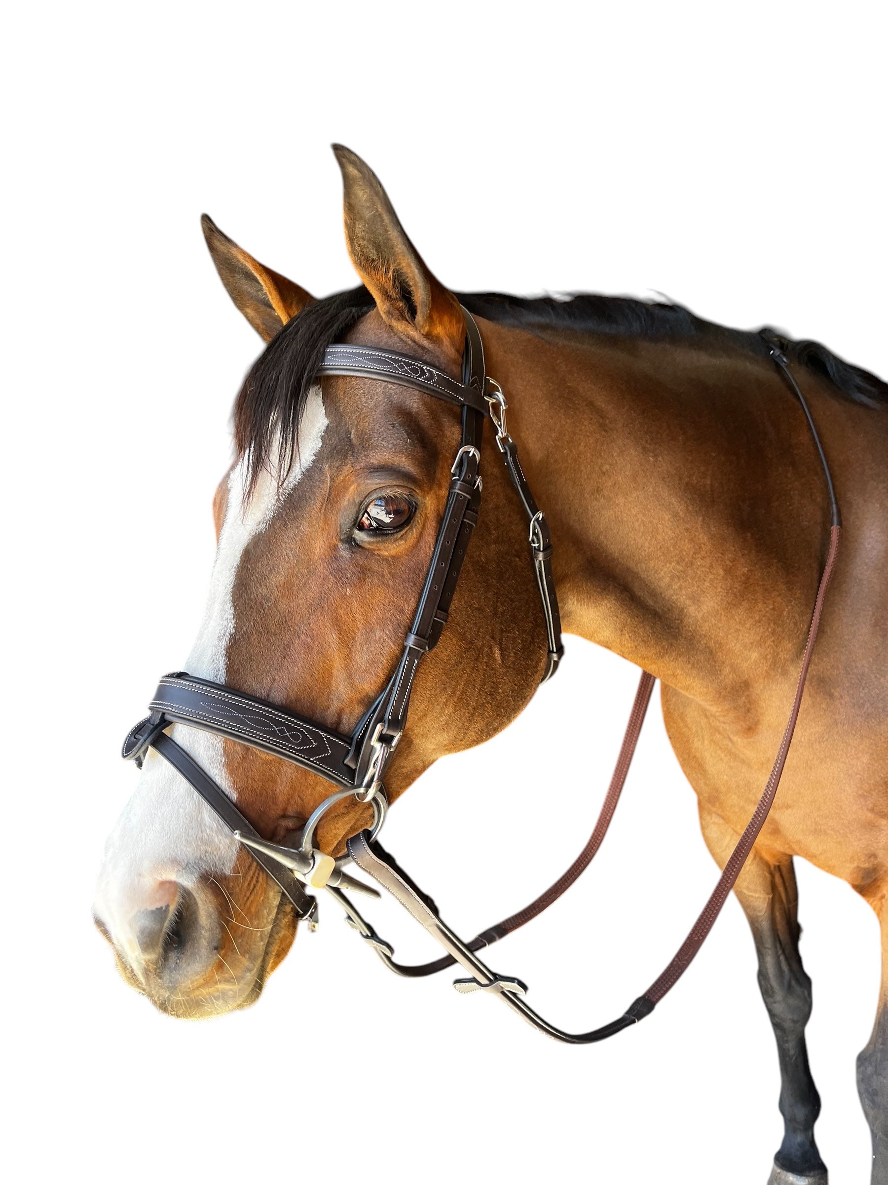 Apollo Training Bridle | Harrington Bridle Co